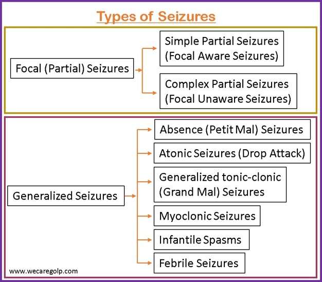 Epilepsy Types Of Seizures Treatment Of Epilepsy We Care