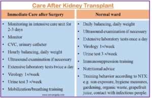 Kidney Transplant (Renal Transplant) - We Care